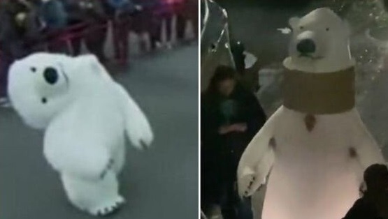 Así volvió el oso al que se le rompió el cuello - Meme subido por ...