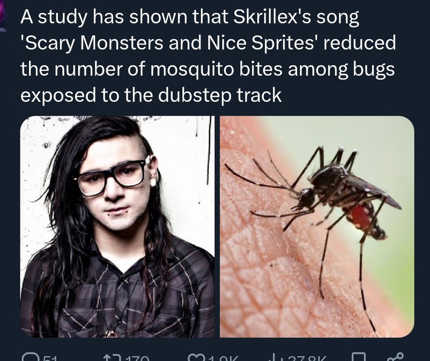 The best Bugs memes :) Memedroid