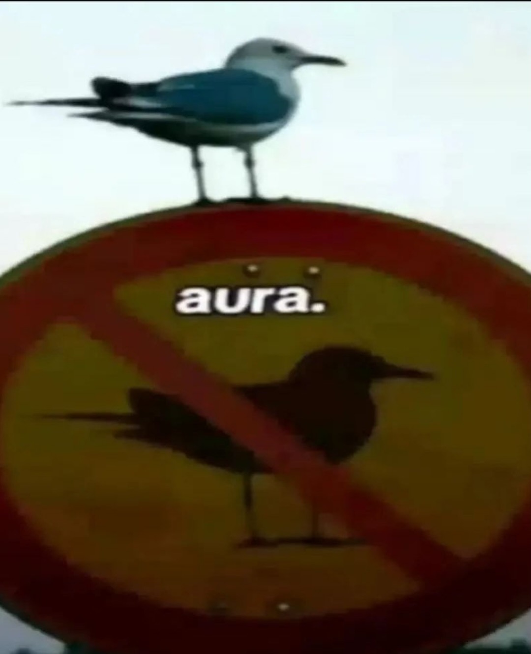 Top memes de Raro en español :) Memedroid