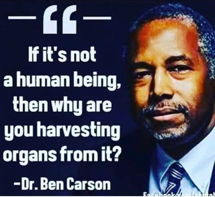 What is it then? - Meme by Dranklestein :) Memedroid