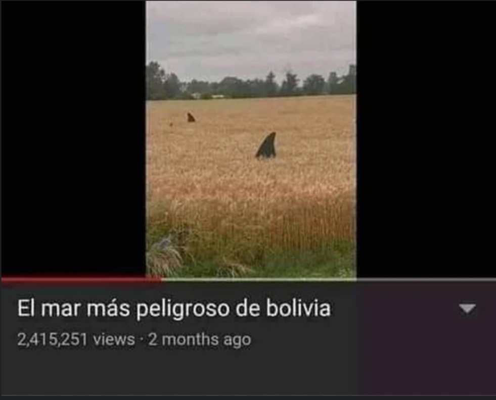 Sale un megalodon - Meme subido por Omax :) Memedroid