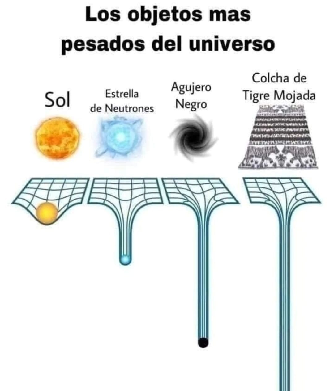 Últimos memes :) Memedroid