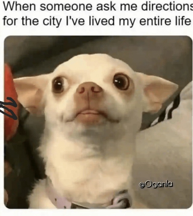 The best Directions memes :) Memedroid