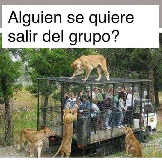 Salir Del Grupo Memes Sticker ¿Cuánto Quieres Para Salir Del Grupo?