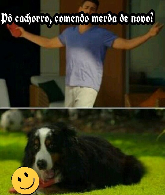 Procede? - Meme subido por CaraQueMoraAli :) Memedroid