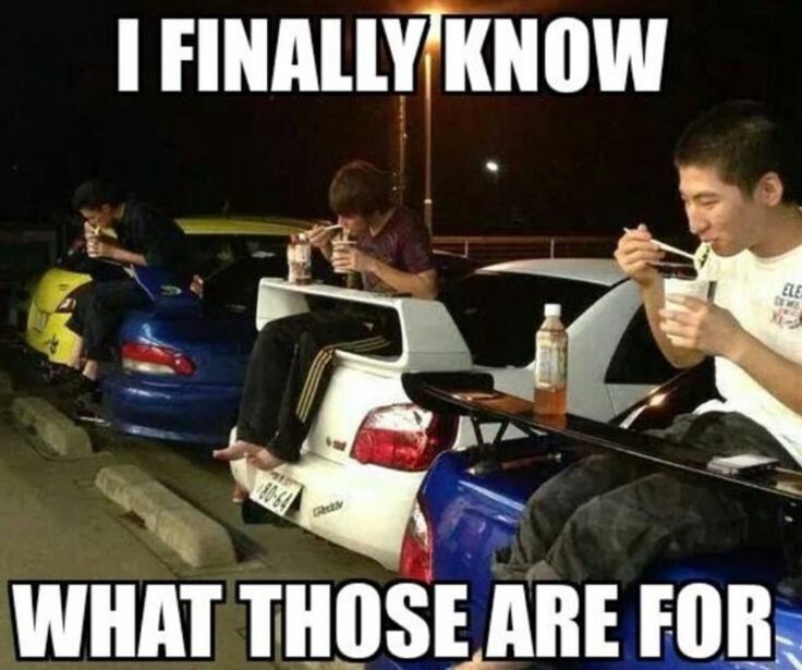 The best knowledge memes :) Memedroid