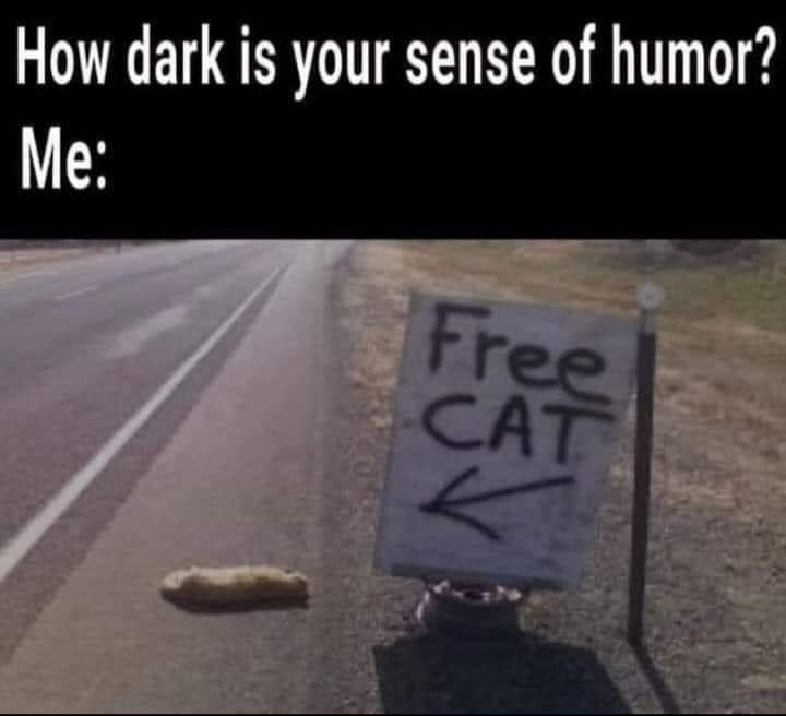 Free Cat Meme