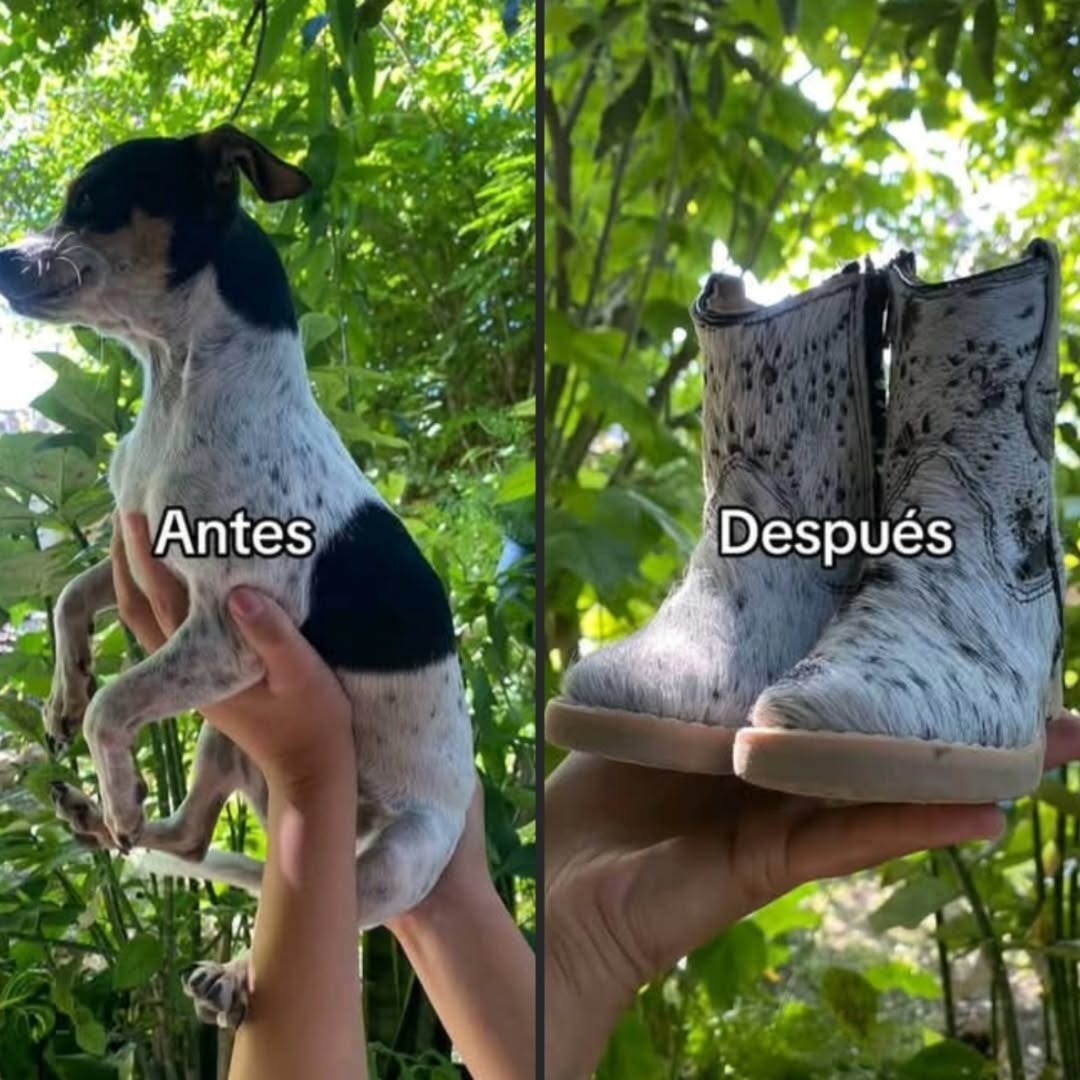 Top memes de Moda en español :) Memedroid