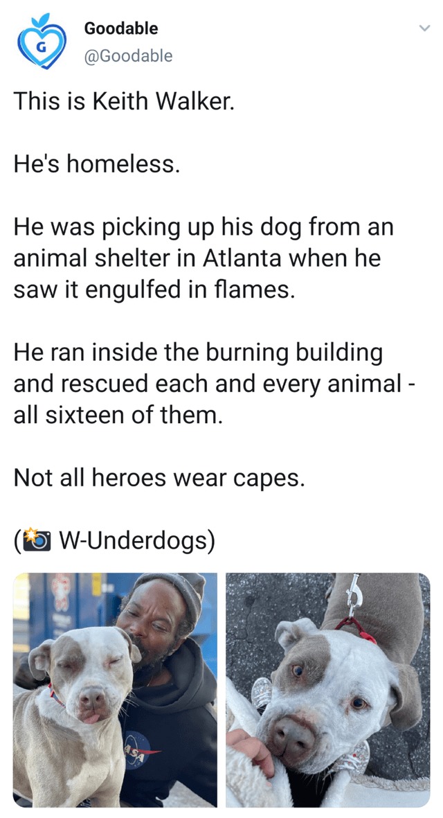 The best Homeless memes :) Memedroid