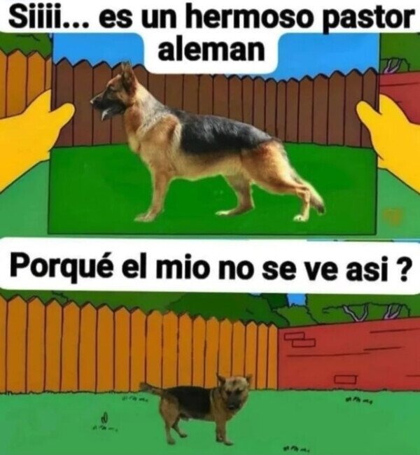 antiagolax :) Memedroid