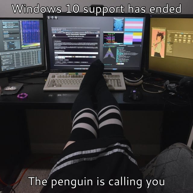 The best Windows memes :) Memedroid