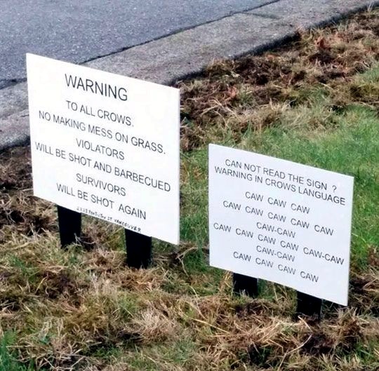 Caw Caw - Meme by HaiLjesus :) Memedroid