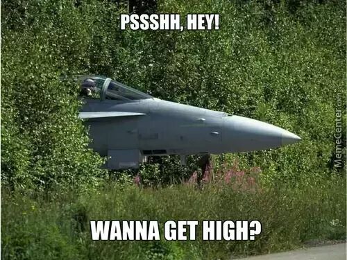 Silly F18, what you doin' in those trees? You know you don't belong ...