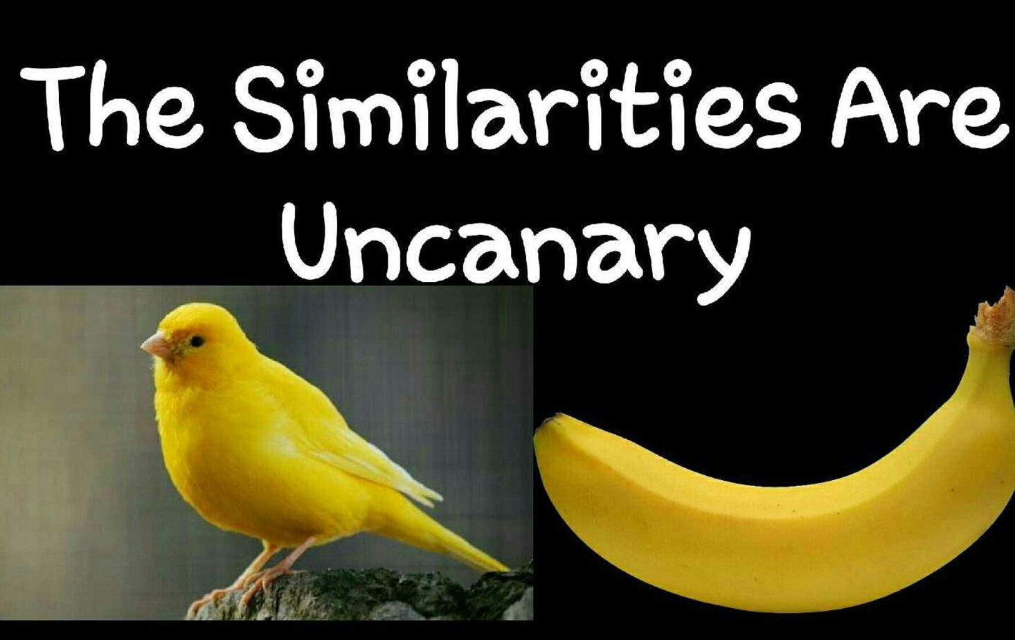 Uncanary - Meme by Sabotta :) Memedroid