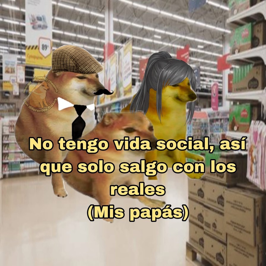 Top memes de Galgo en español :) Memedroid