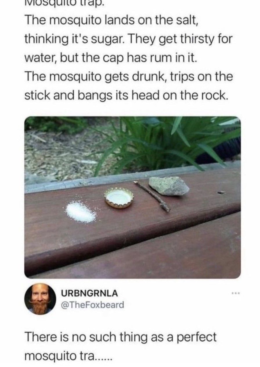 Mosquito Trap - Meme by mEH.. :) Memedroid