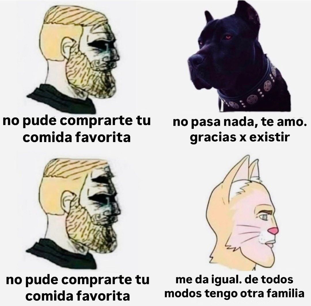 Top memes de Perros en español :) Memedroid
