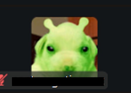 Top memes de Perros en español :) Memedroid