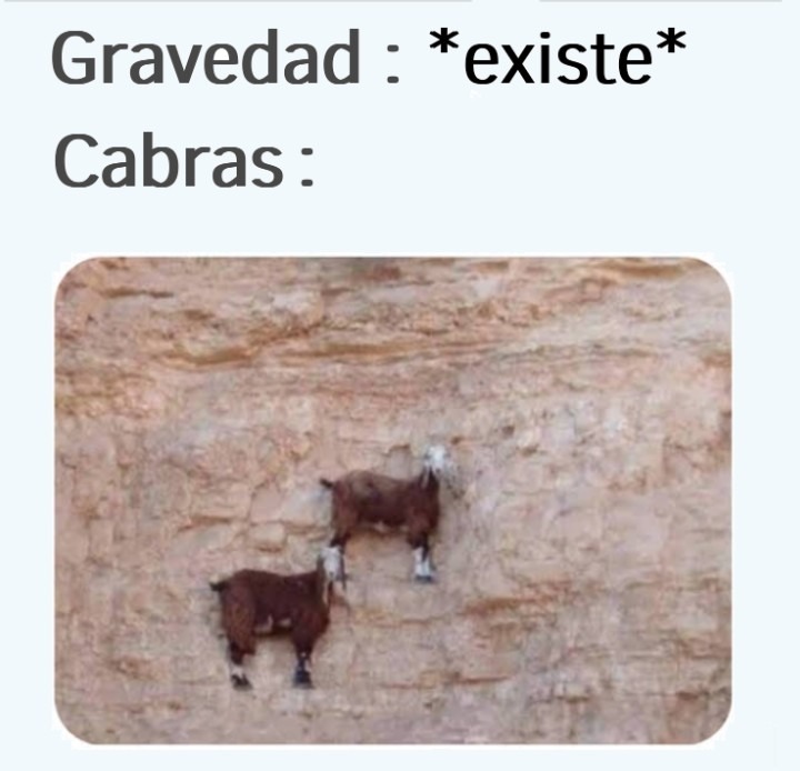 gravedad - Meme subido por Congolesa :) Memedroid