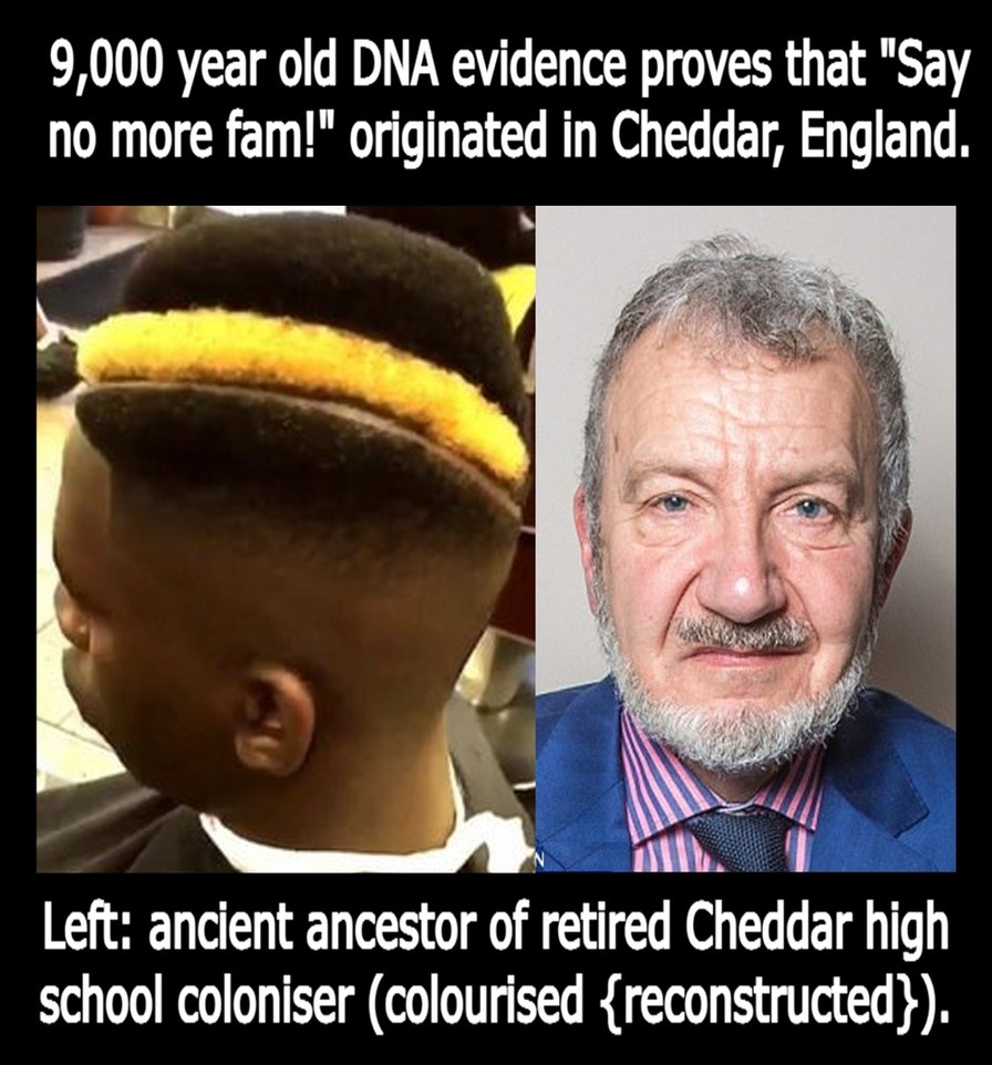 The Latest Memes :) Memedroid