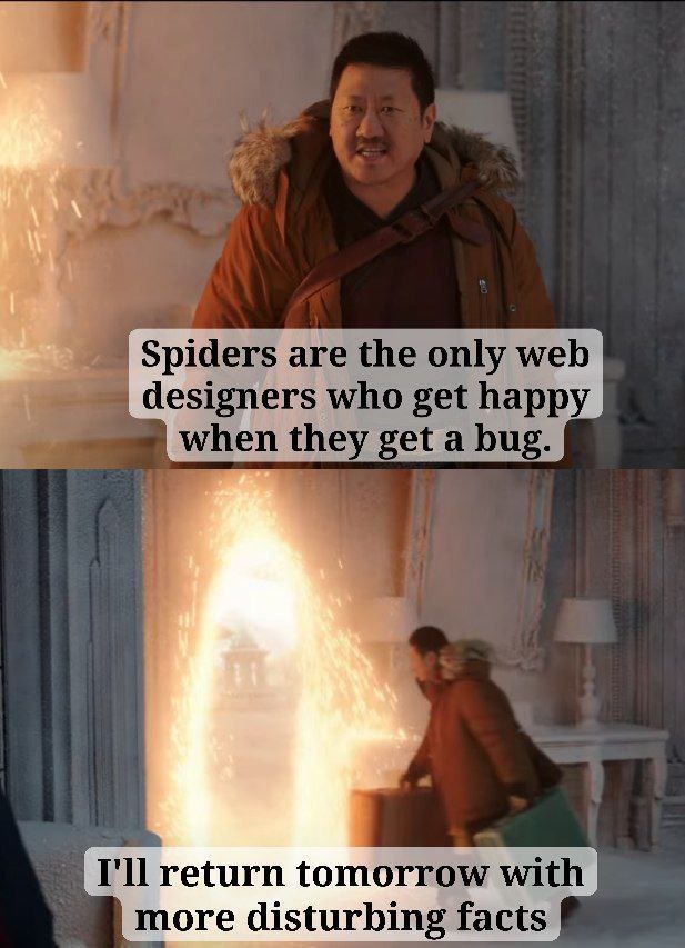 The best Spider memes :) Memedroid