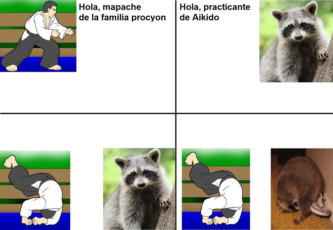 Top memes de Mapache en español :) Memedroid