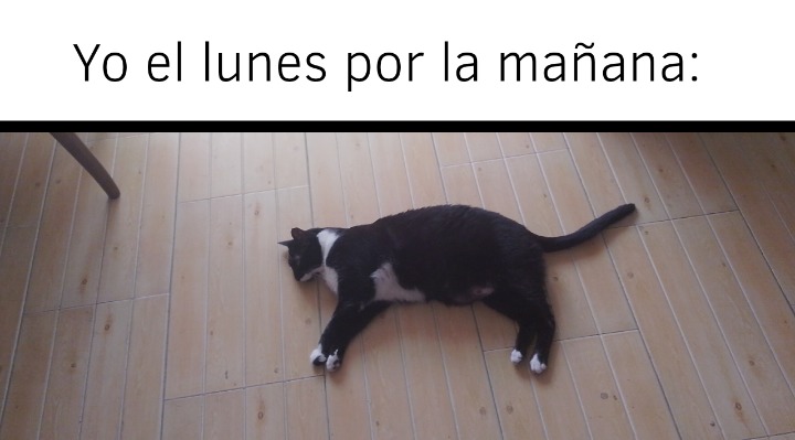 PlutarcoPig :) Memedroid