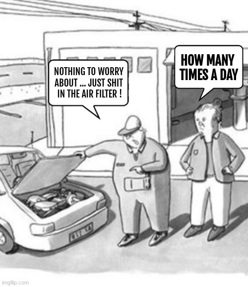 The best Bonnet memes :) Memedroid