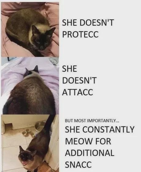 Funny Memes :) Memedroid