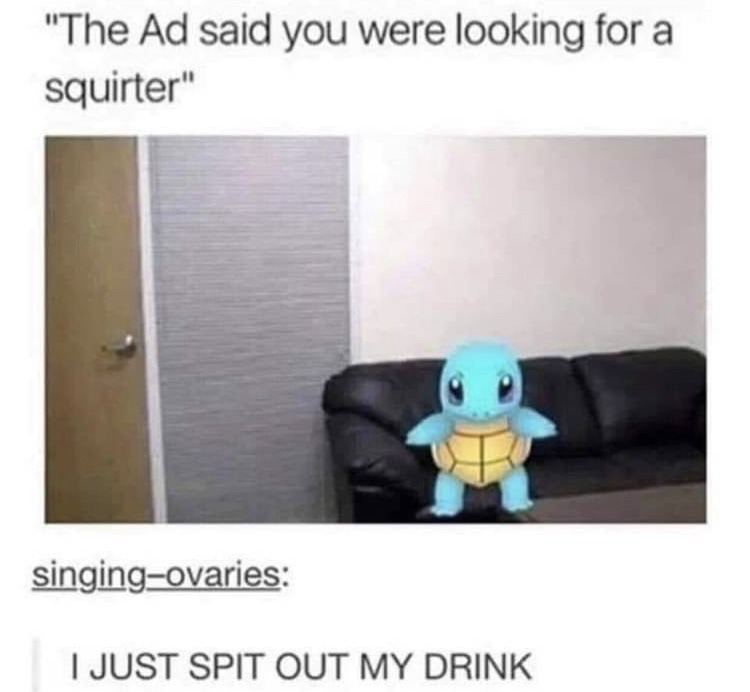 squirtle - Meme by KibblesAndBitches :) Memedroid