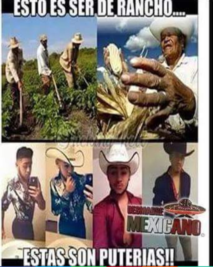 Top memes de Rancheros en español :) Memedroid