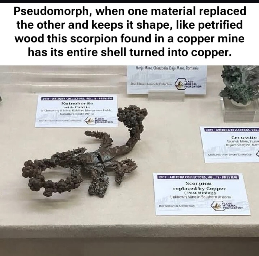 The best Copper memes :) Memedroid