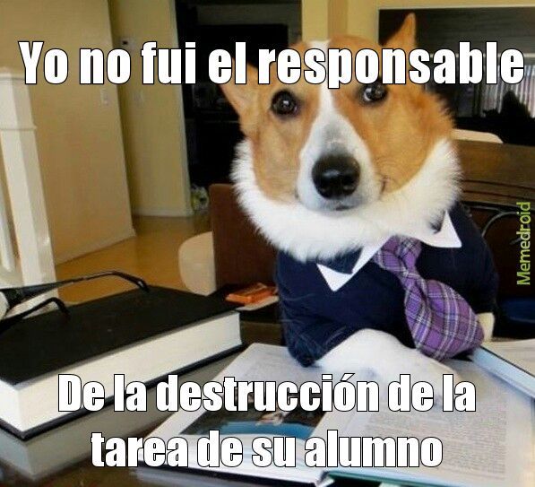 Tarea - Meme subido por Supersonica8000 :) Memedroid