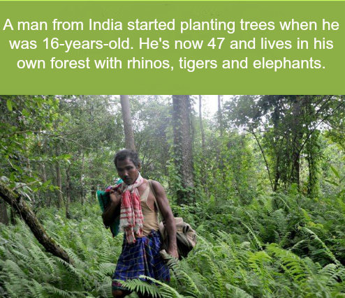 Mowgli - Meme by morning :) Memedroid