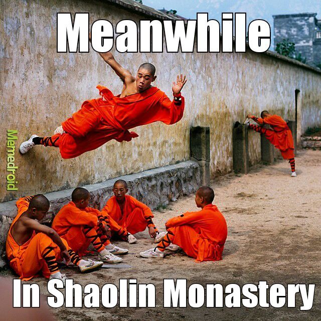 Shaolin Monk Memes MS Dhoni's Bald Monk Look Is All Over Internet With