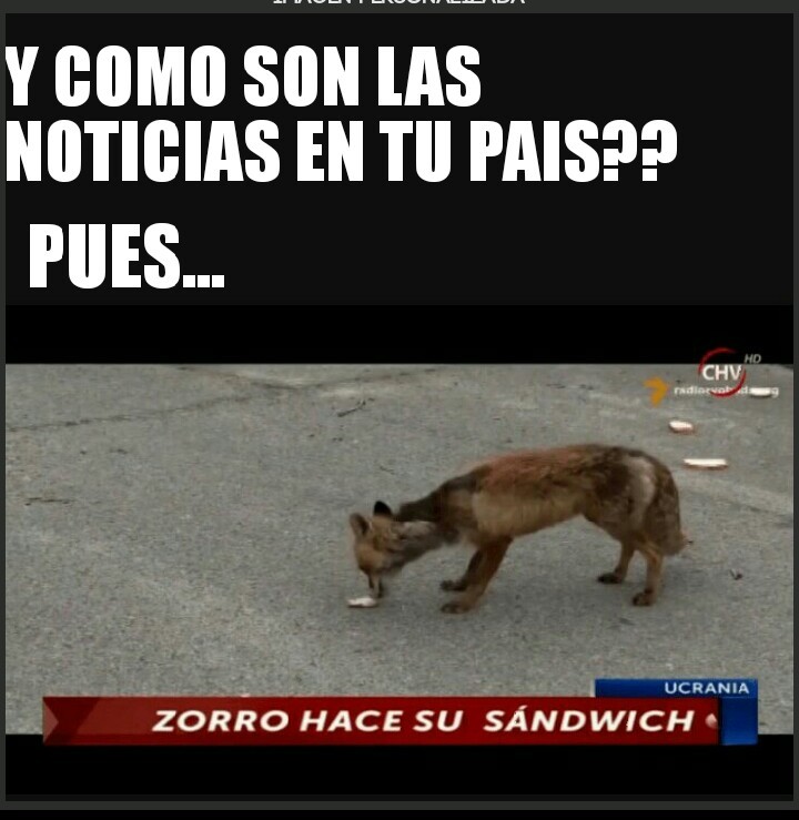 Zorro - Meme subido por Sekamelp :) Memedroid