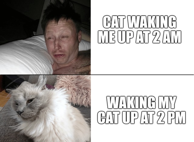 Latest memes / New memes :) Memedroid