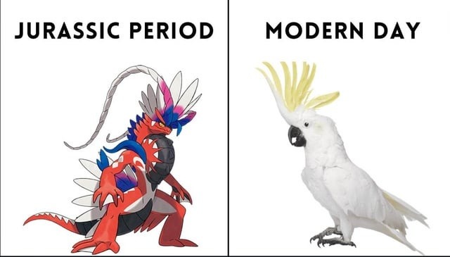 The best Evolution memes :) Memedroid