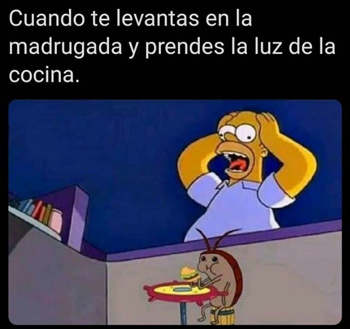 Cucarachin cucarachon te comiste mi hamburguesa y también mi calzón ...