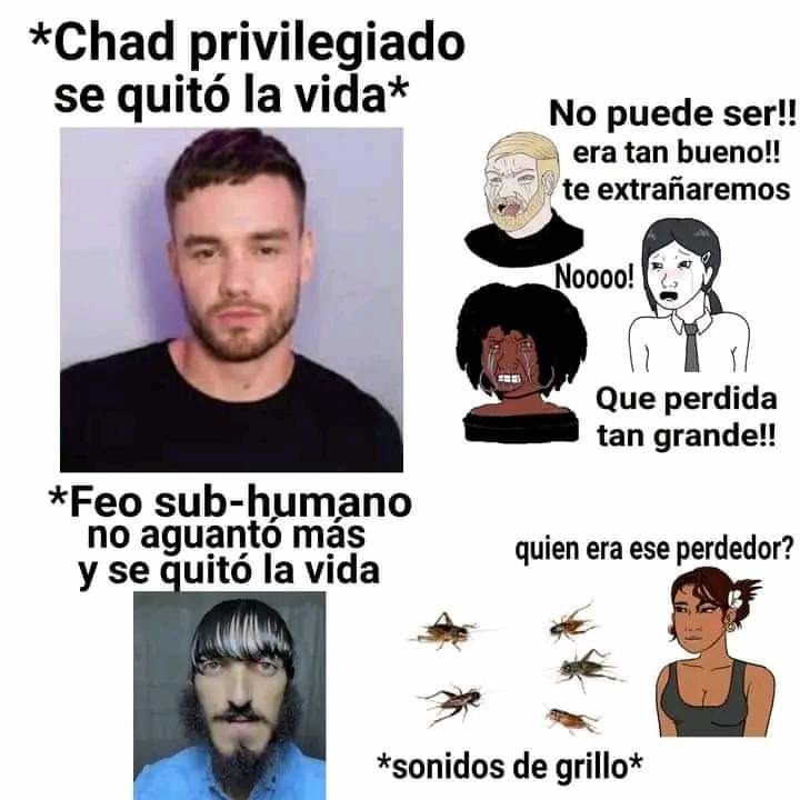 Los Últimos Memes :) Memedroid