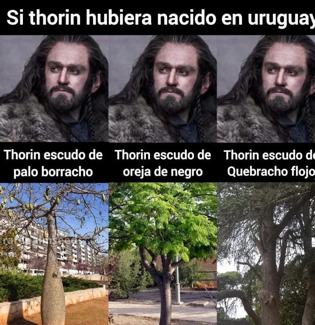 Thorin Meme Thorin Be Like When He Heards That The Dragon Is Dead