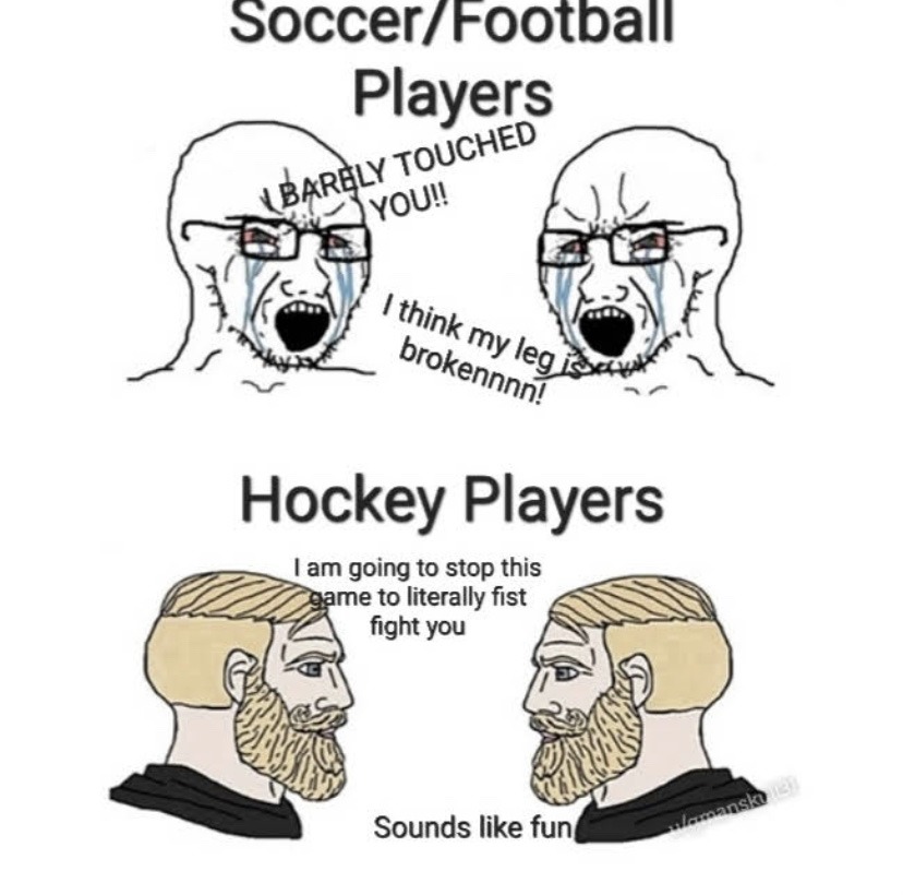 common hockey W - Meme subido por WagyuBeef :) Memedroid