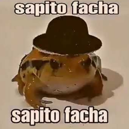 Memes Sapito