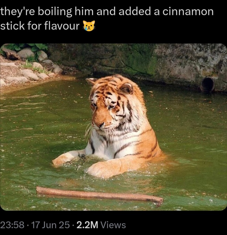 The best Tiger memes :) Memedroid