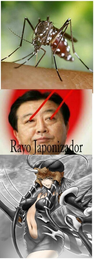 Mairus23 tonto - Meme subido por Xpepe_69 :) Memedroid