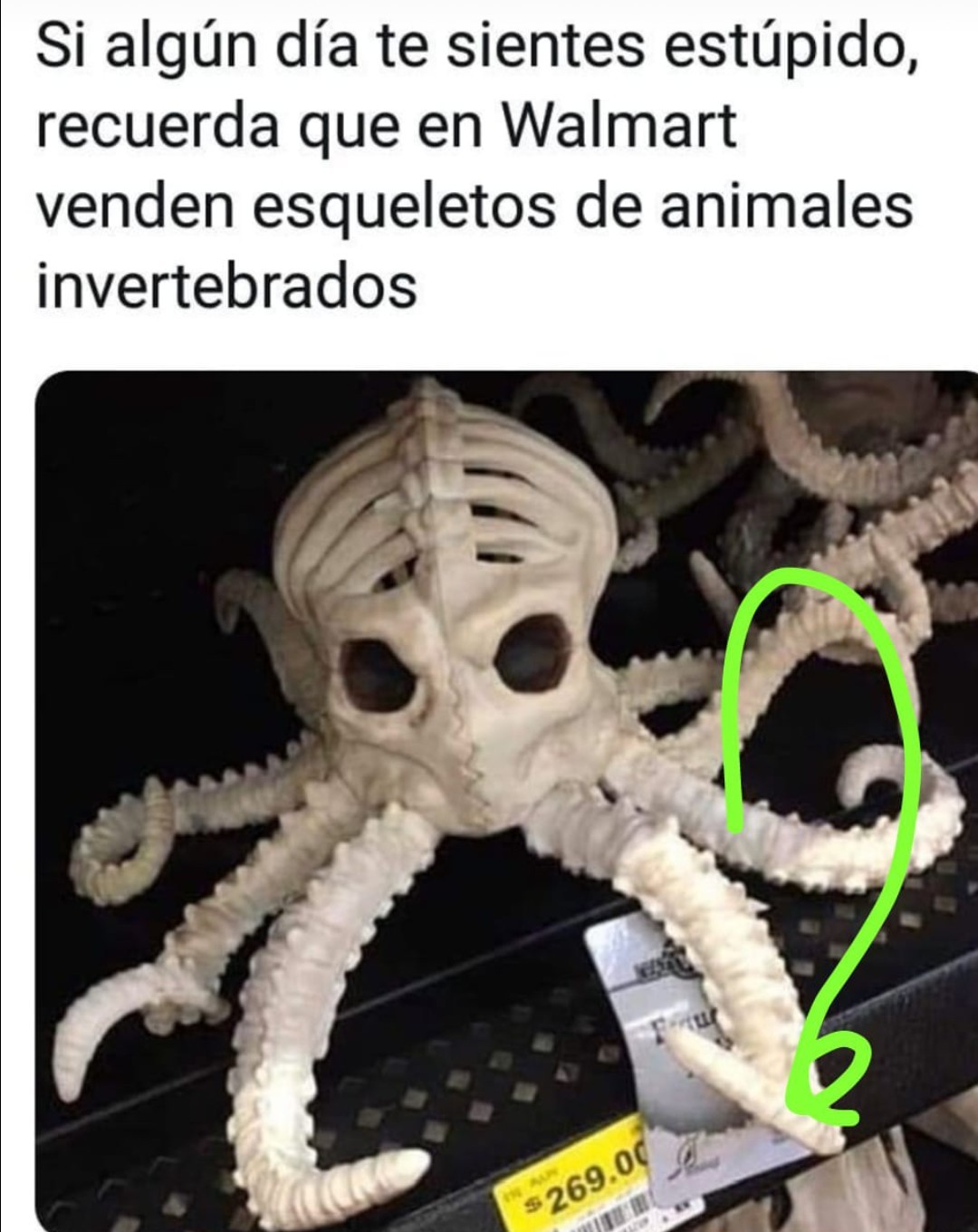 Lololol - Meme subido por Usuario3000 :) Memedroid