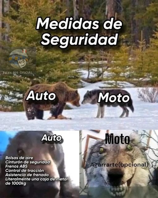 Top memes de Lobos virales en internet:) Memedroid