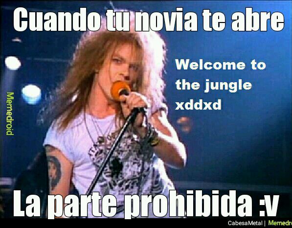 Gans an roses - Meme by Deadmen3000 :) Memedroid