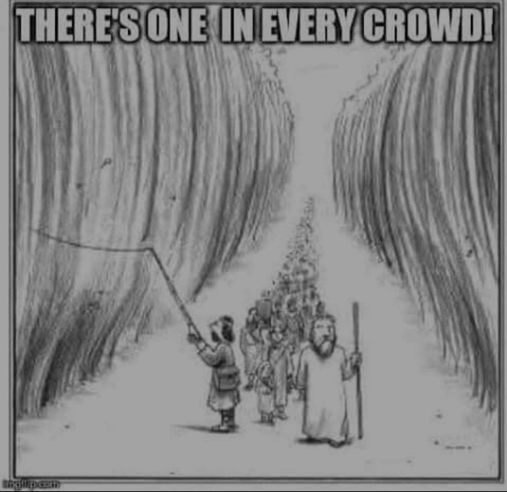 The Latest Memes :) Memedroid