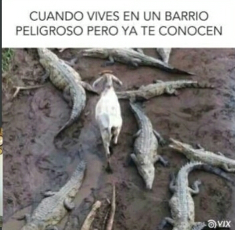 Eñe - Meme subido por ZeroXYX :) Memedroid